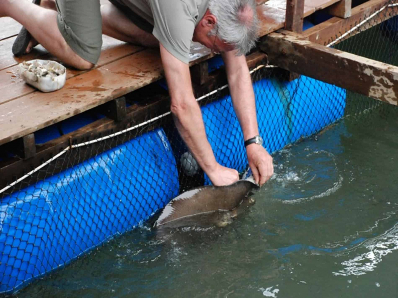 Langkawi Mangrove Tour | Book From RM22/pax - Langkawibook